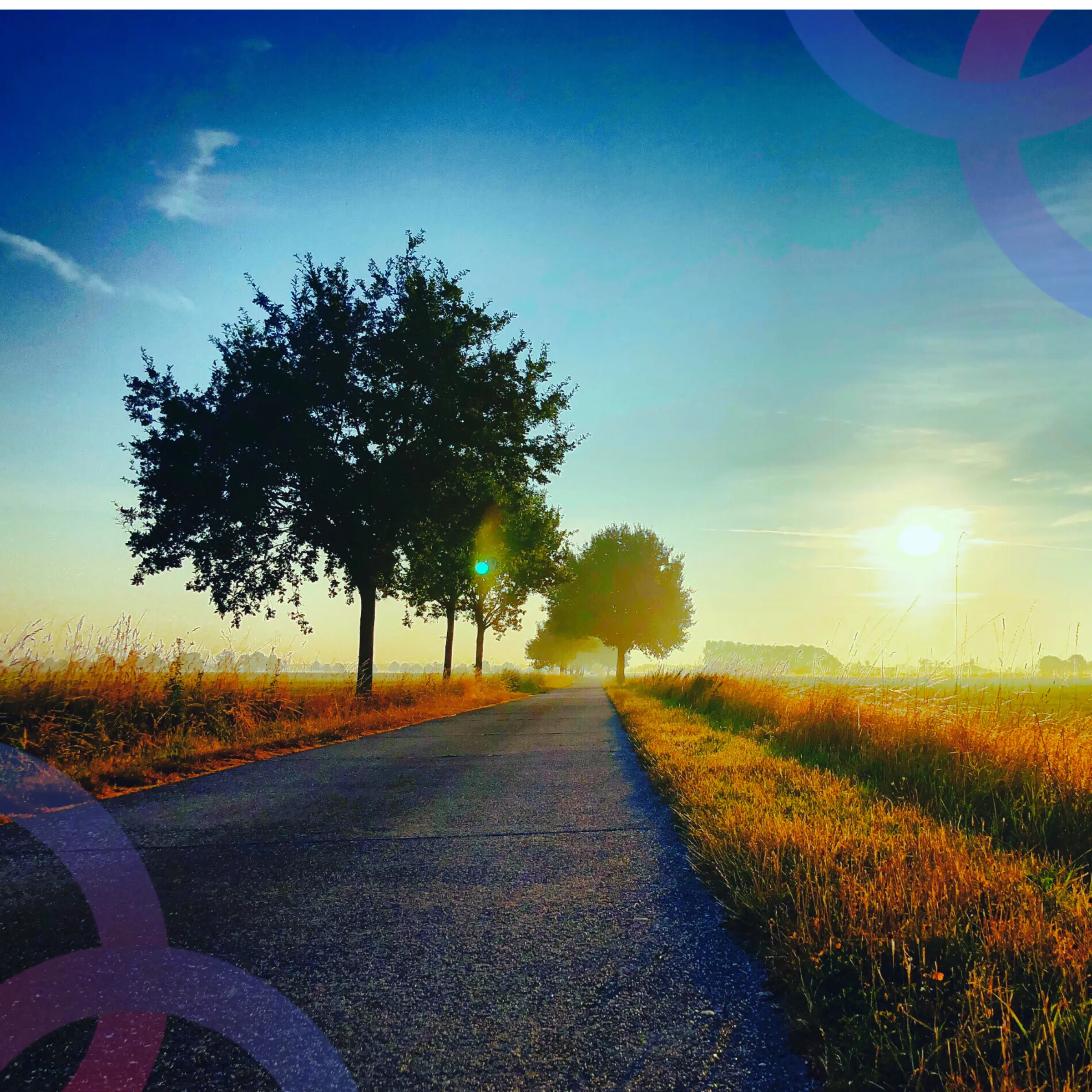 MDF | Welcoming New Leadership at MDF Group Management Team